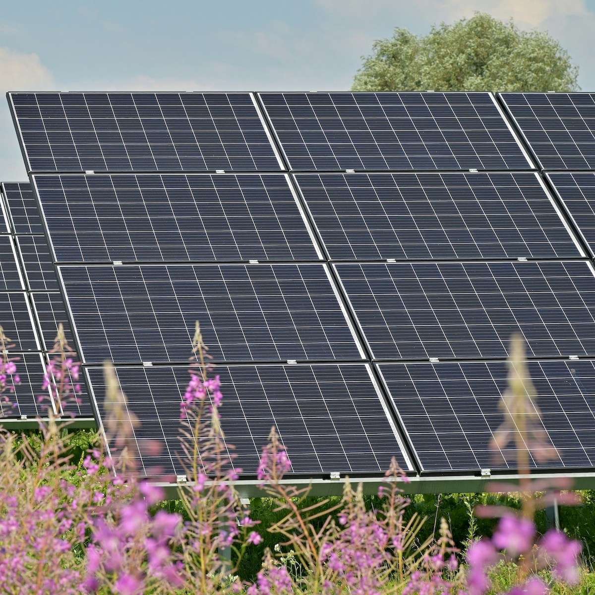 Ausbau der Photovoltaik im Rems-Murr-Kreis schreitet deutlich voran ...